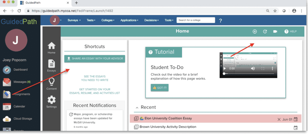 Essay Writing | Marks Education